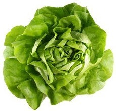 Krop sla BIO - Biowinkel Hart voor aarde NL-BIO-01