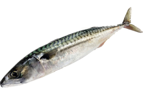 Makreel rookklaar - Koelewijn Jacob van Jan