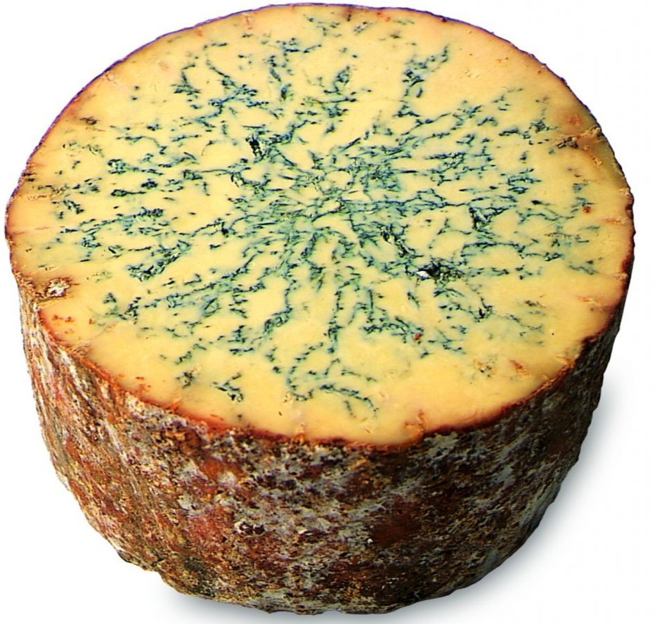 Stilton - 't Kaaspunt