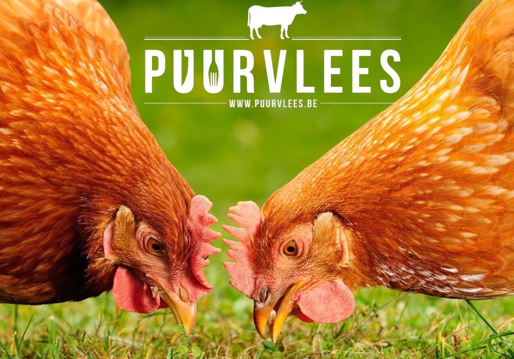 Gevogelte - Hoeveslagerij Puur Vlees