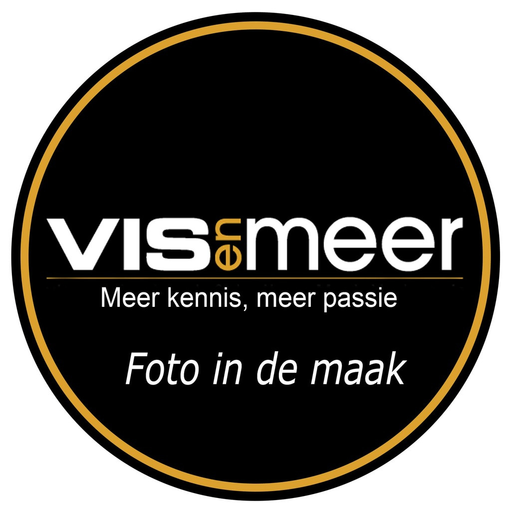 Surinaamse bami pan - Vis en Meer